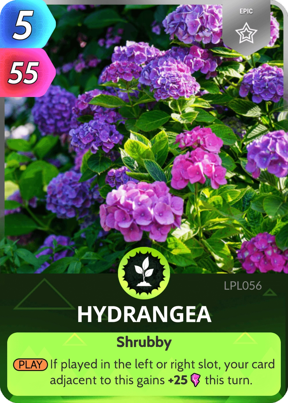 Hydrangea | Cards, the Universe and Everything Wiki | Fandom
