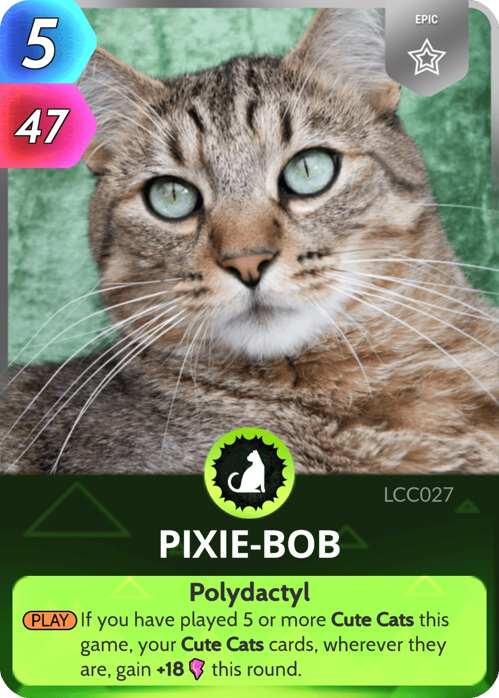 Pixie-Bob | Cards, the Universe and Everything Wiki | Fandom