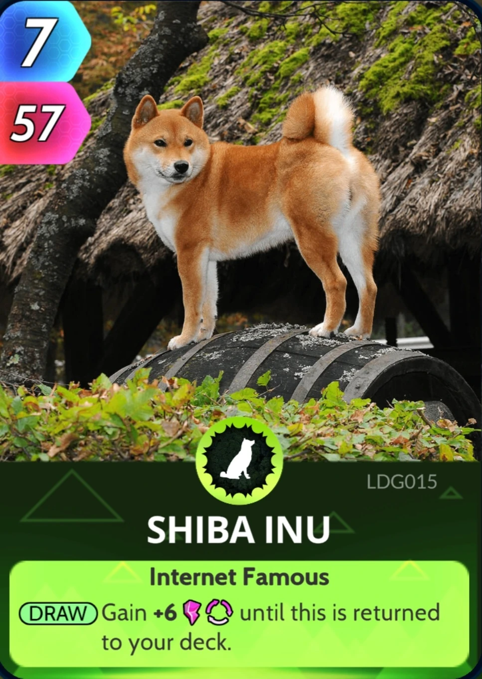 Shiba Inu | Cards, the Universe and Everything Wiki | Fandom