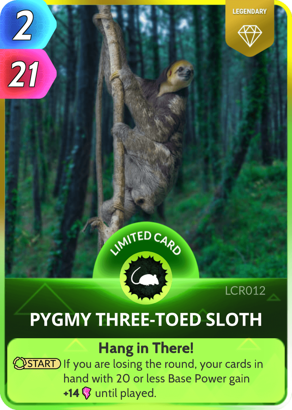 Pygmy Three Toed Sloth Cards The Universe And Everything Wiki Fandom