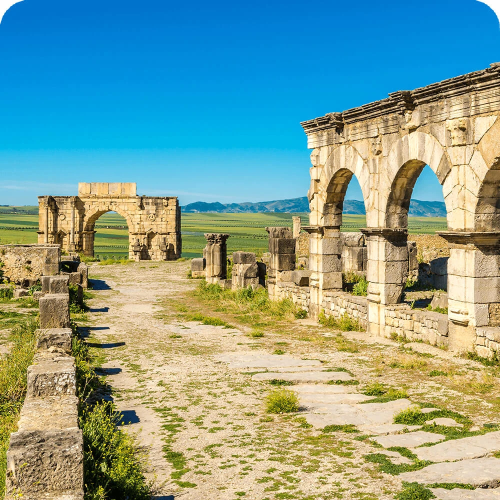 Volubilis | Cards, the Universe and Everything Wiki | Fandom