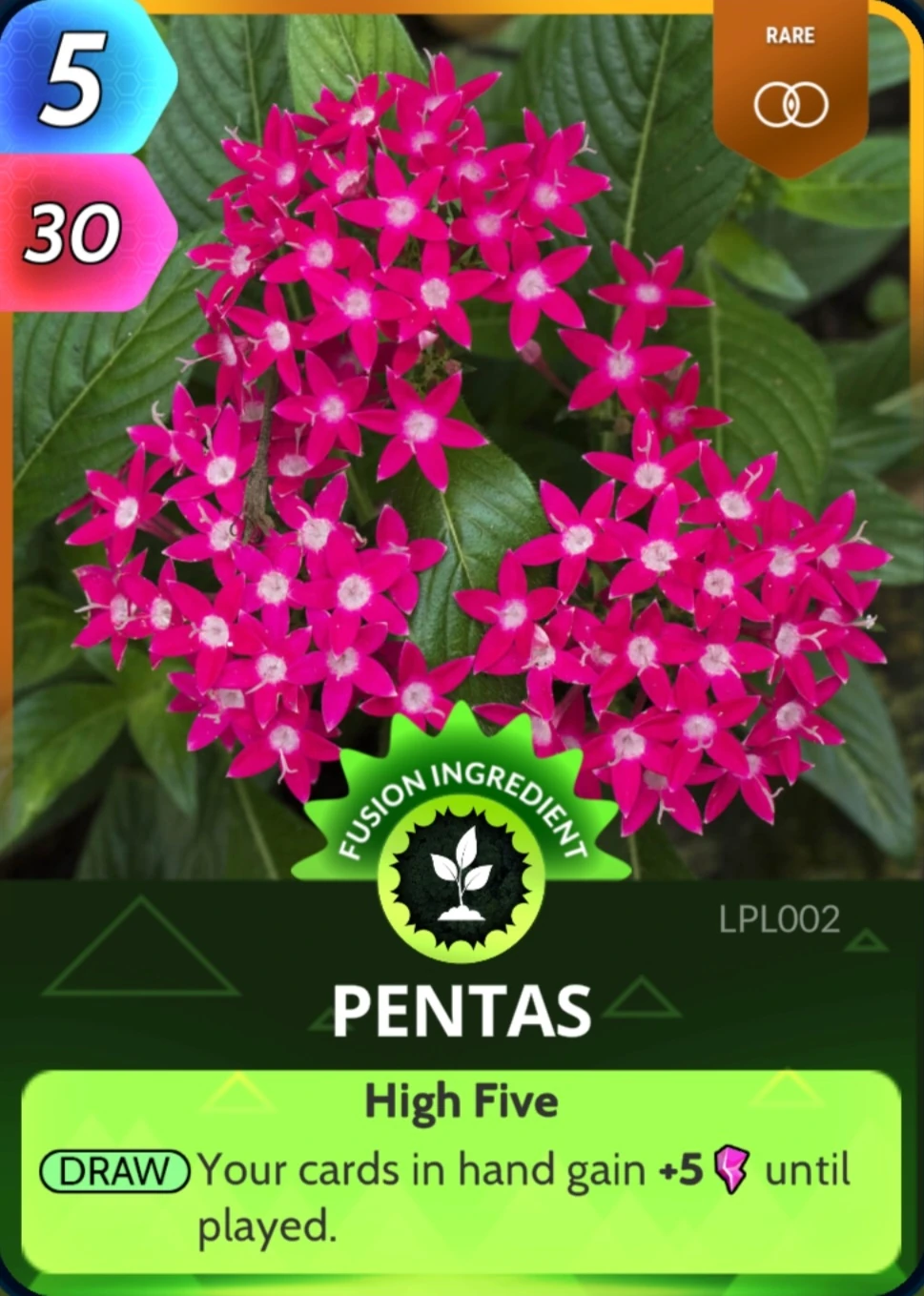 Pentas | Cards, the Universe and Everything Wiki | Fandom