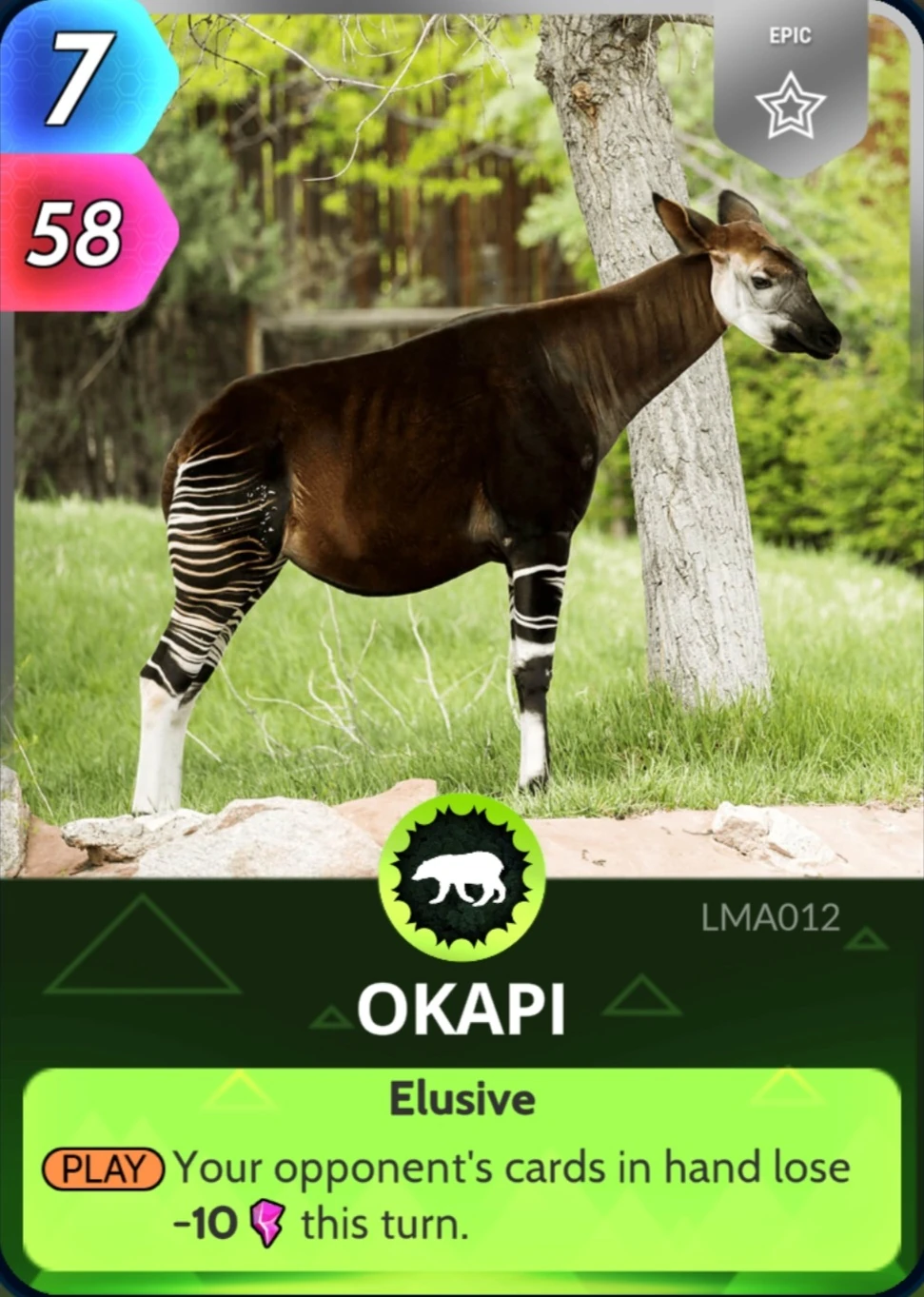 Okapi | Cards, the Universe and Everything Wiki | Fandom