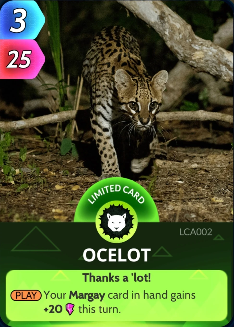 Ocelot | Cards, the Universe and Everything Wiki | Fandom