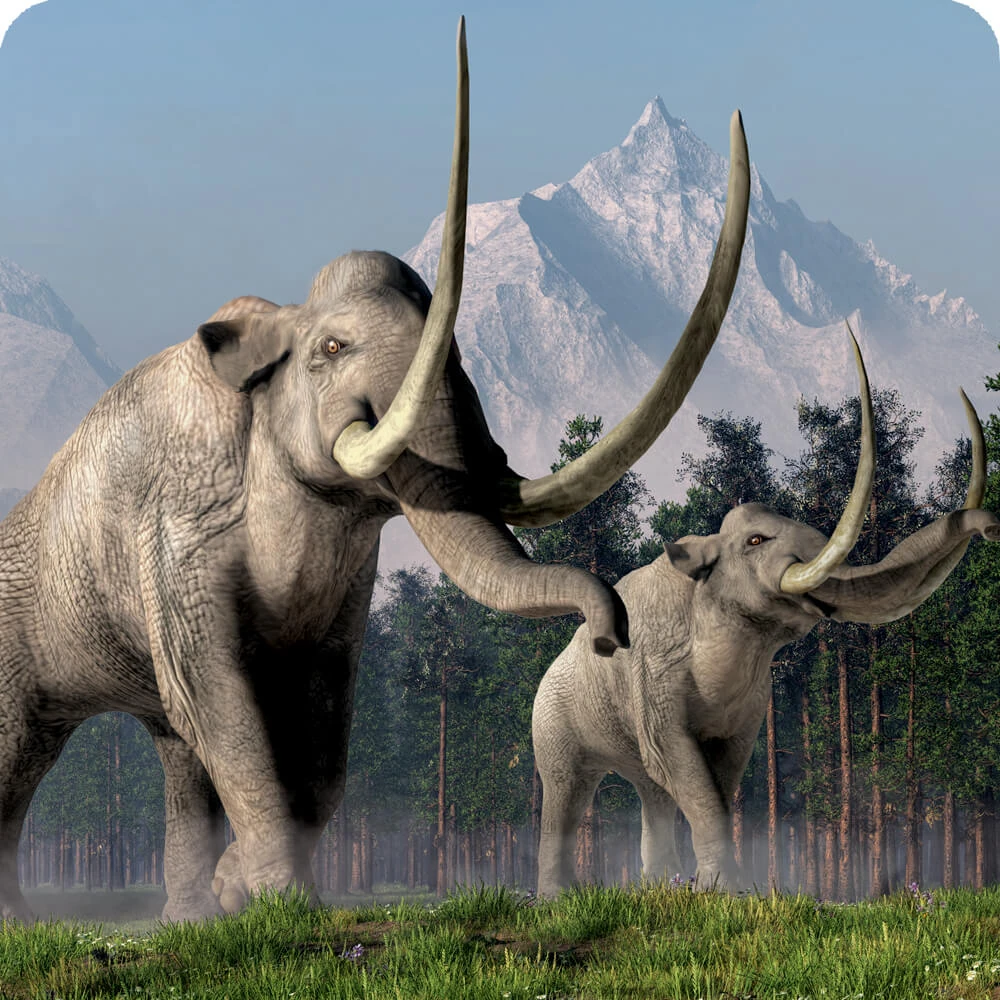 Columbian Mammoth | Cards, the Universe and Everything Wiki | Fandom