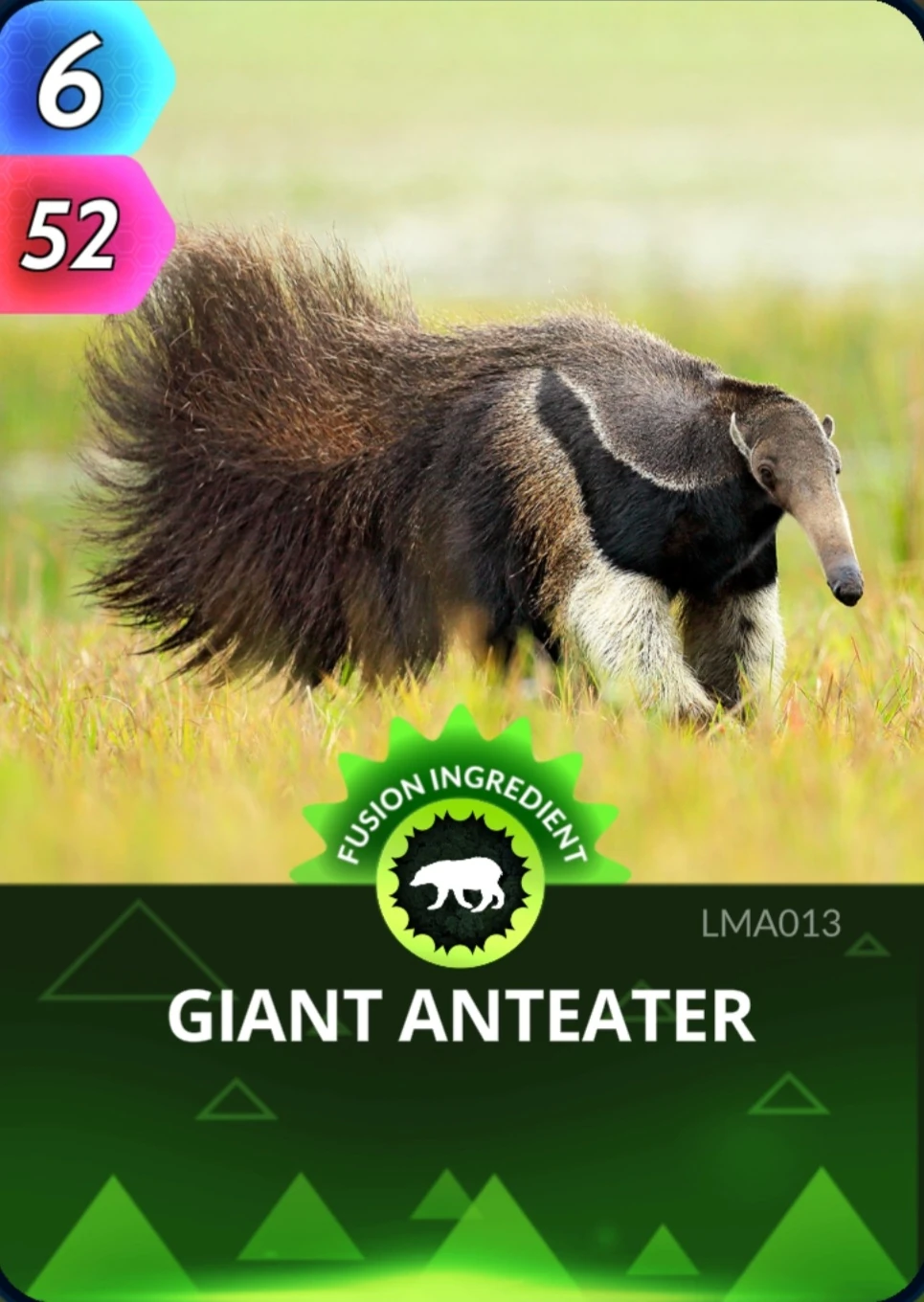 Giant Anteater | Cards, the Universe and Everything Wiki | Fandom