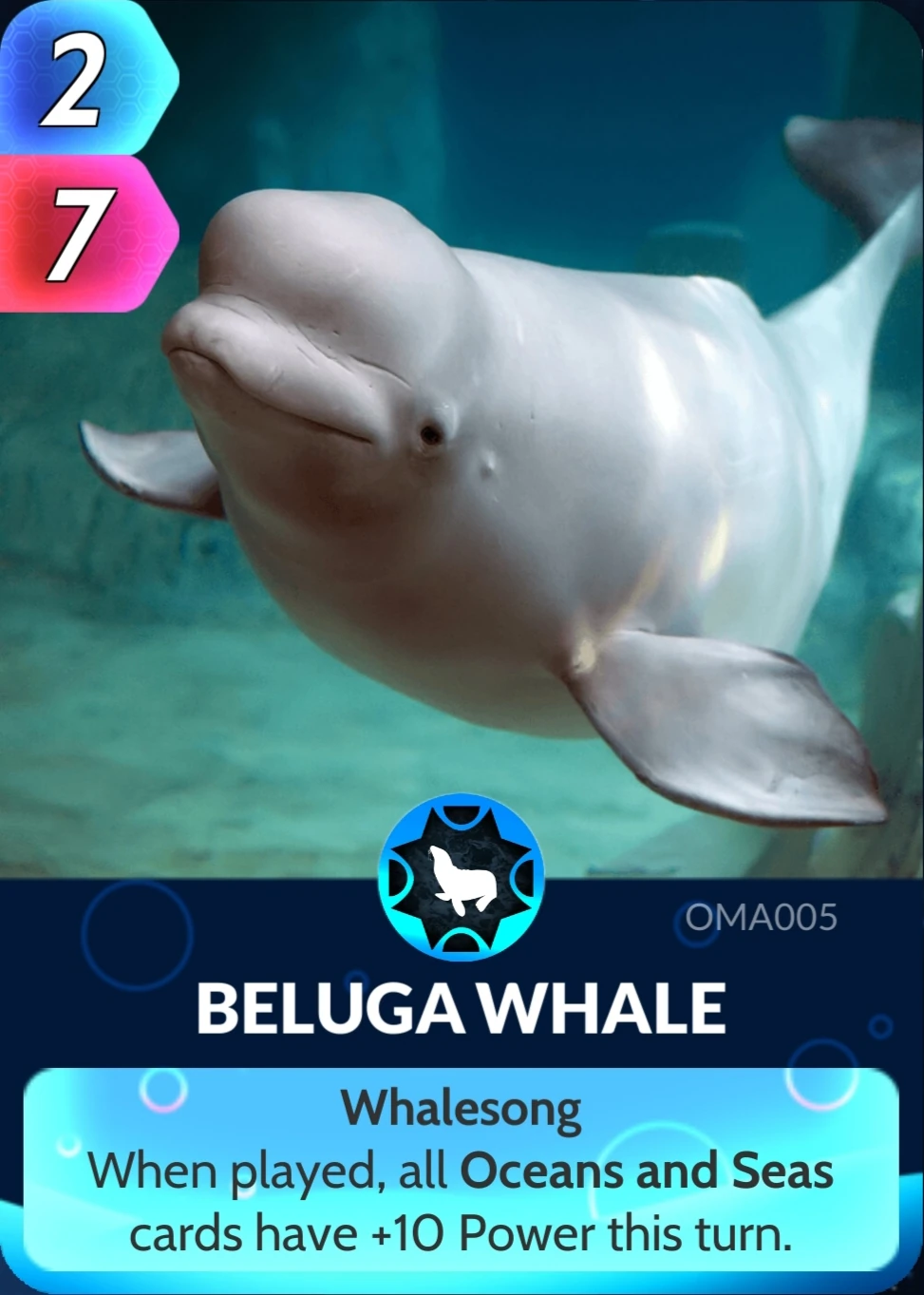 Beluga Whale | Cards, the Universe and Everything Wiki | Fandom