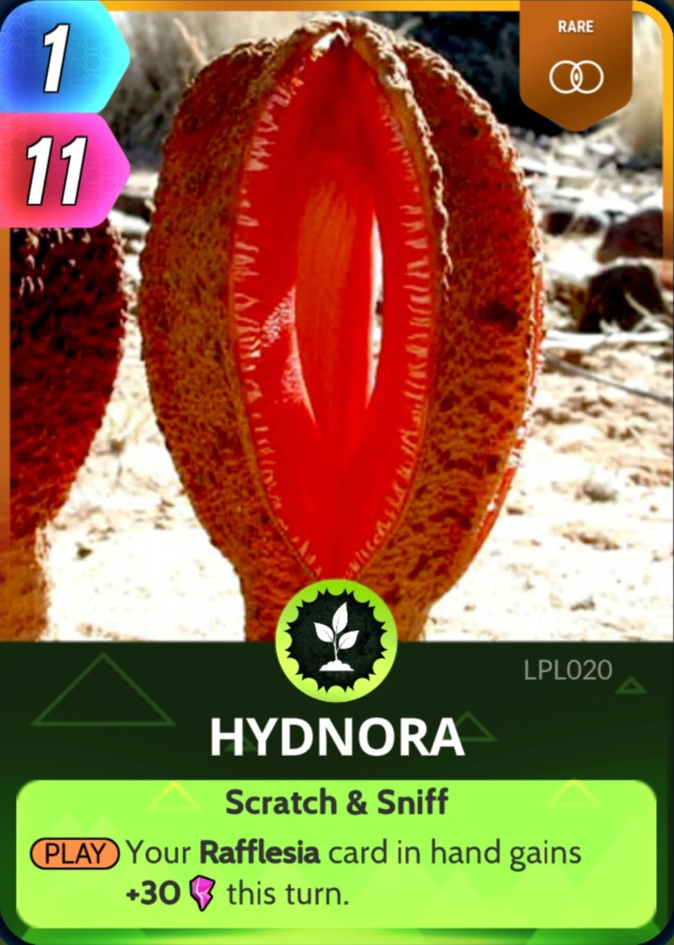 Hydnora | Cards, the Universe and Everything Wiki | Fandom
