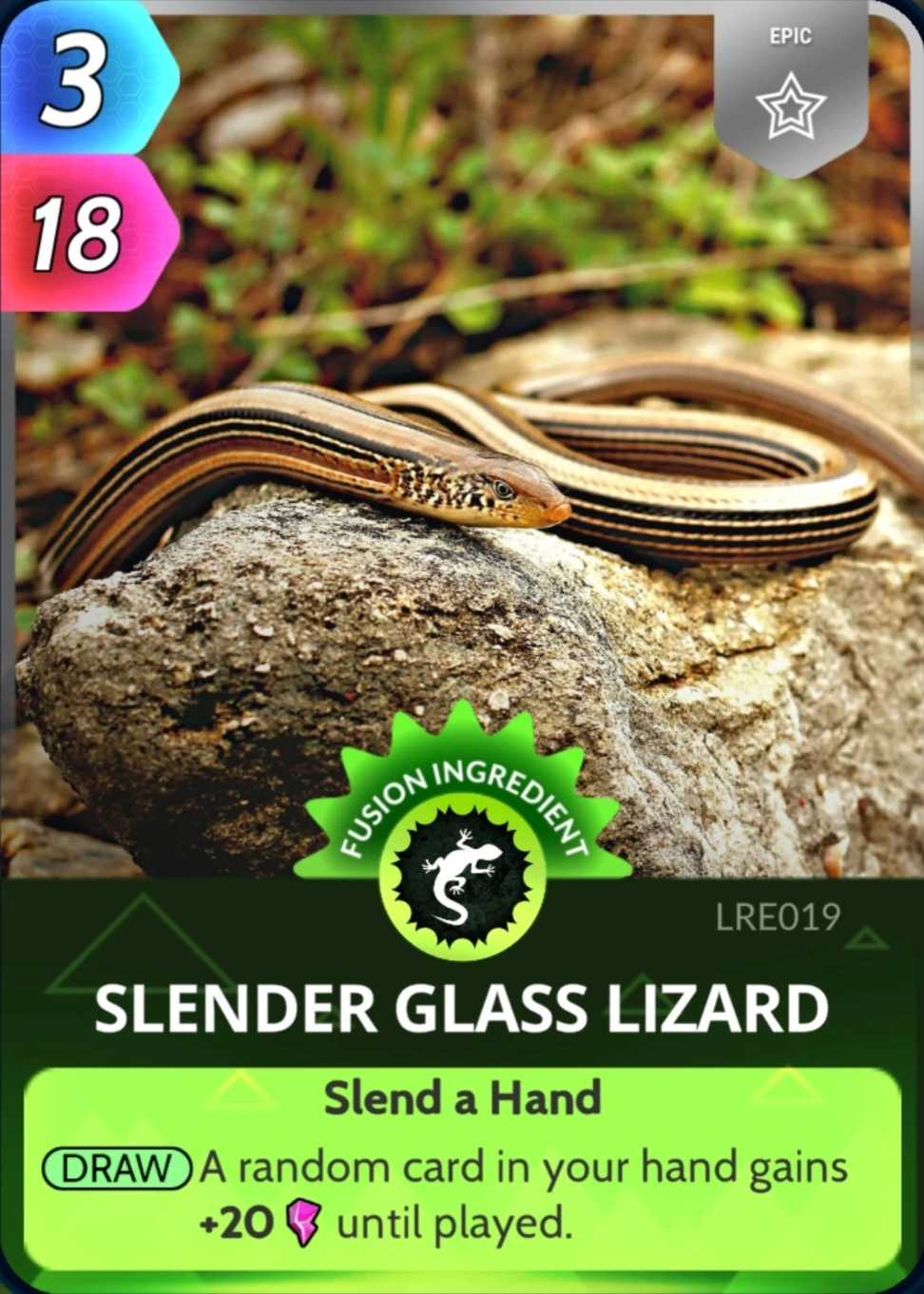 Slender Glass Lizard | Cards, the Universe and Everything Wiki | Fandom