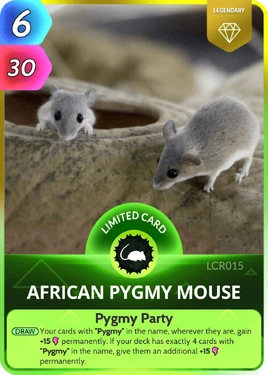 African Pygmy Mouse | Cards, the Universe and Everything Wiki | Fandom