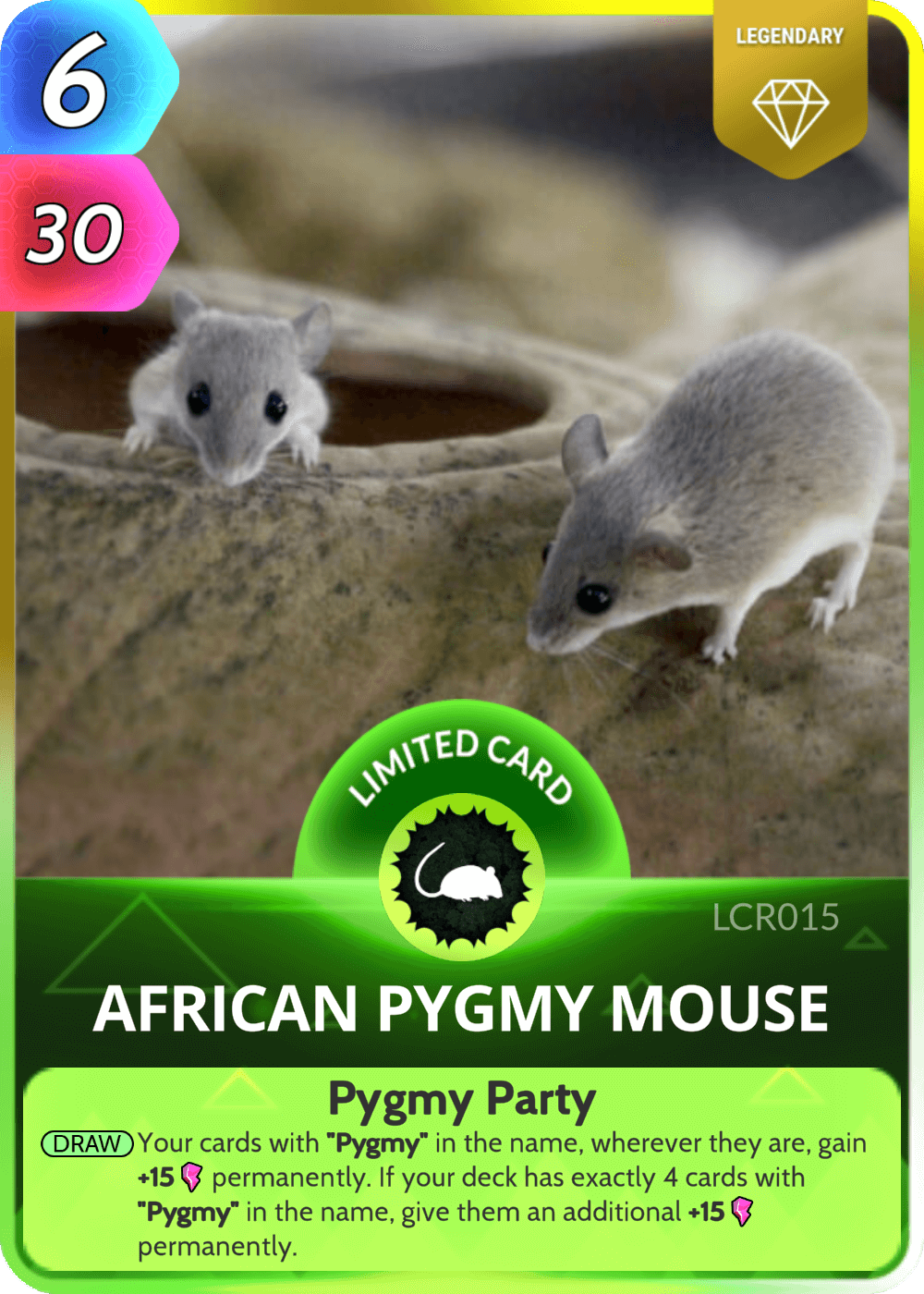 African Pygmy Mouse Cards The Universe And Everything Wiki Fandom