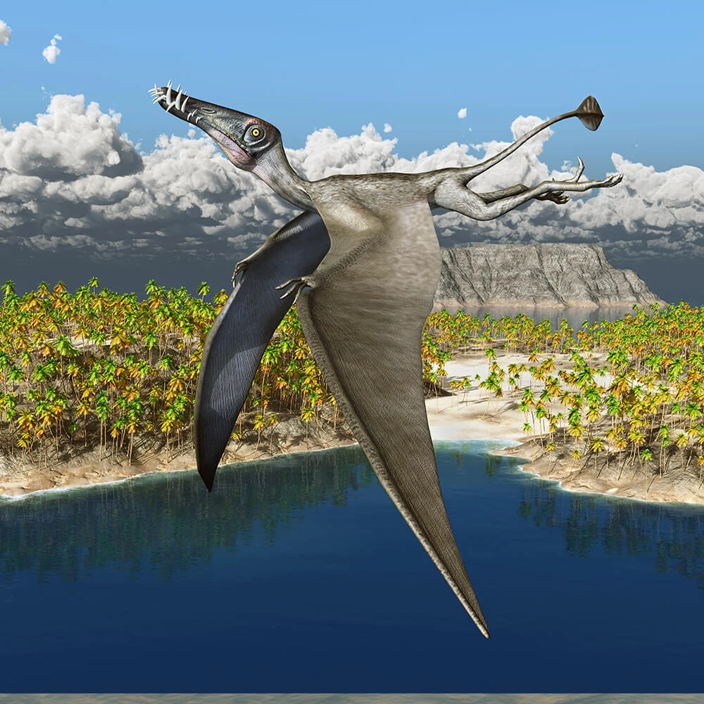 Dorygnathus | Cards, the Universe and Everything Wiki | Fandom