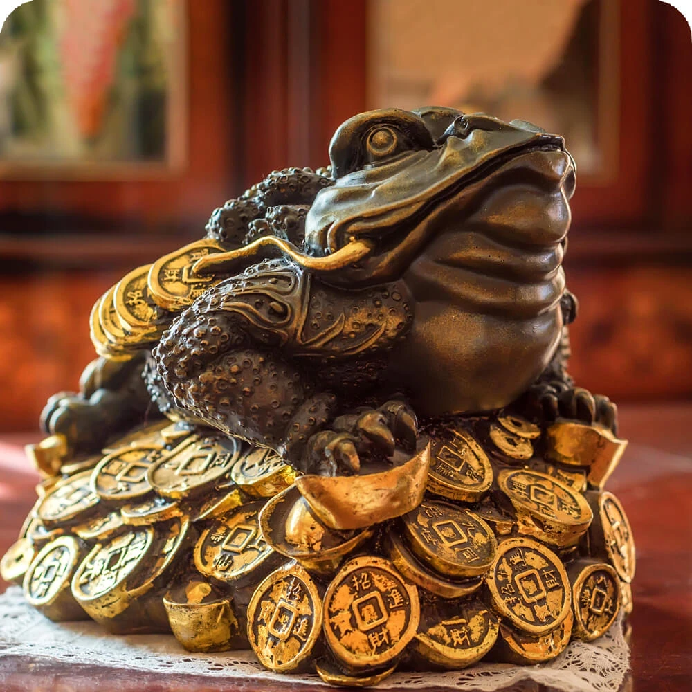 Jin Chan | Cards, the Universe and Everything Wiki | Fandom