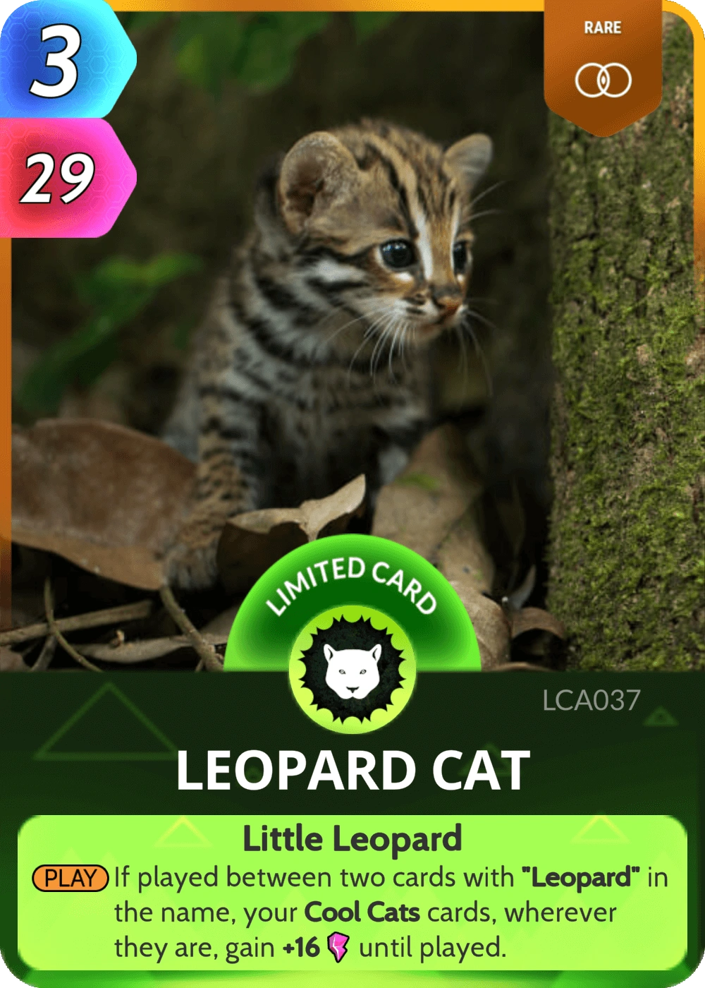 Leopard Cat | Cards, the Universe and Everything Wiki | Fandom