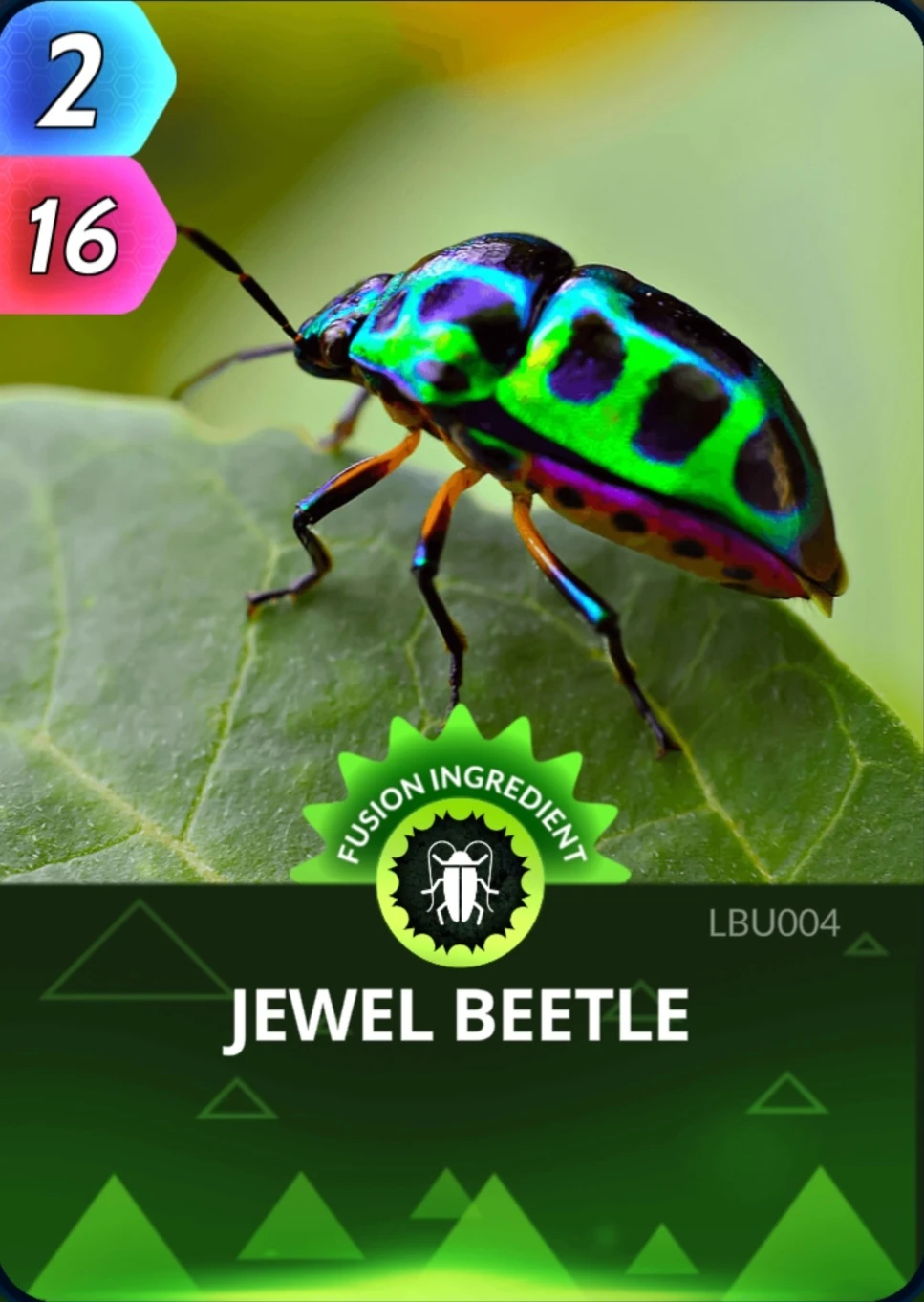 Jewel Beetle | Cards, the Universe and Everything Wiki | Fandom