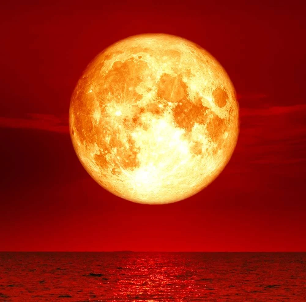 Blood Moon | Cards, the Universe and Everything Wiki | Fandom