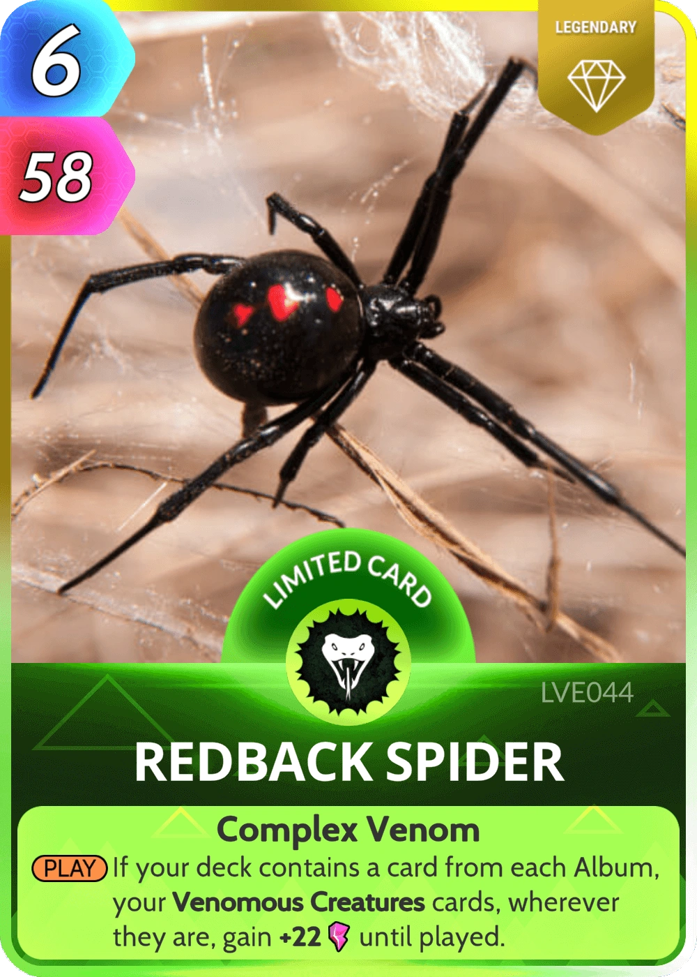 Redback Spider | Cards, the Universe and Everything Wiki | Fandom