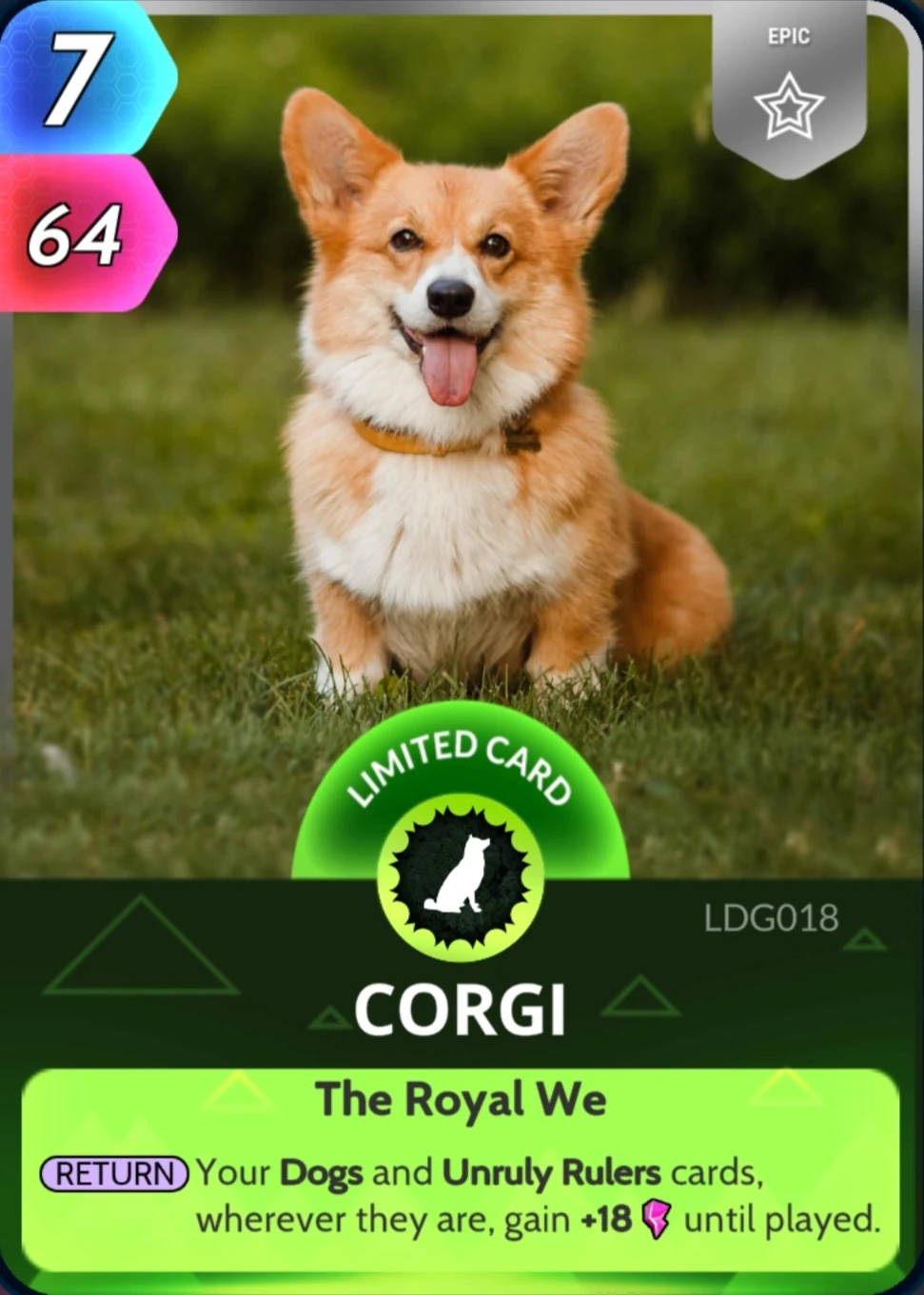 Corgi | Cards, the Universe and Everything Wiki | Fandom