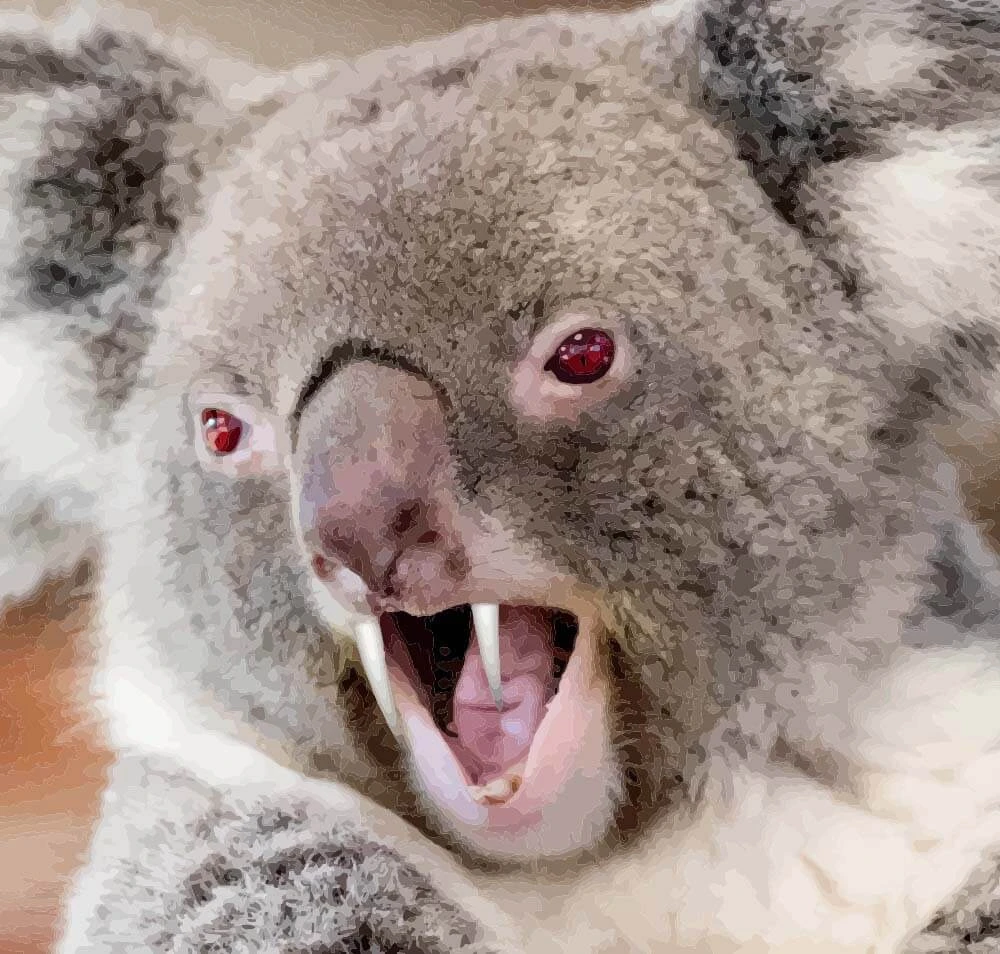 Drop Bear | Cards, the Universe and Everything Wiki | Fandom