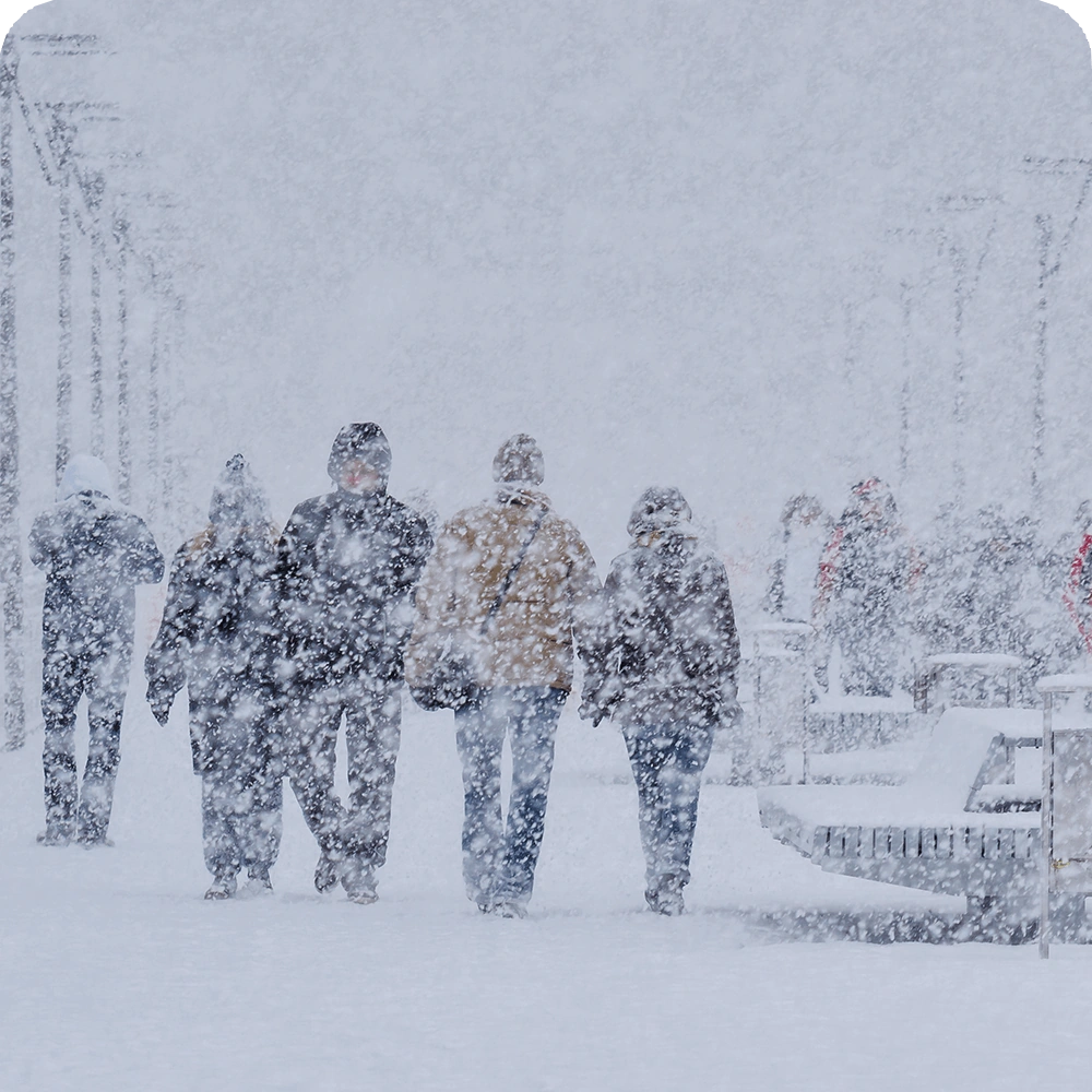 Blizzard | Cards, the Universe and Everything Wiki | Fandom