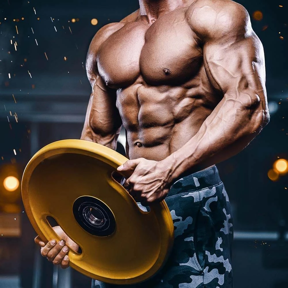 Bodybuilding | Cards, the Universe and Everything Wiki | Fandom