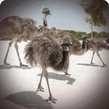 Great Emu War | Cards, the Universe and Everything Wiki | Fandom