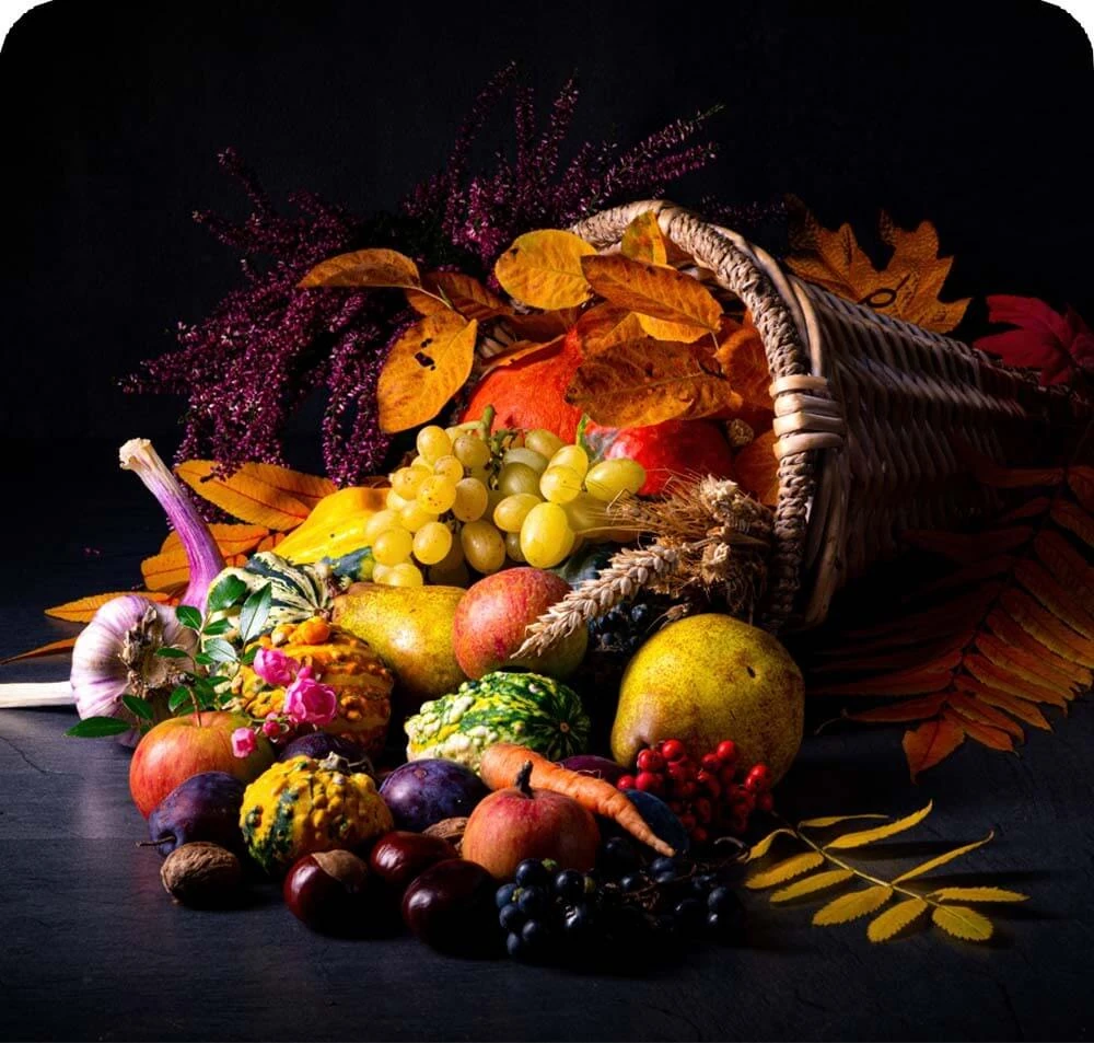 Cornucopia | Cards, the Universe and Everything Wiki | Fandom