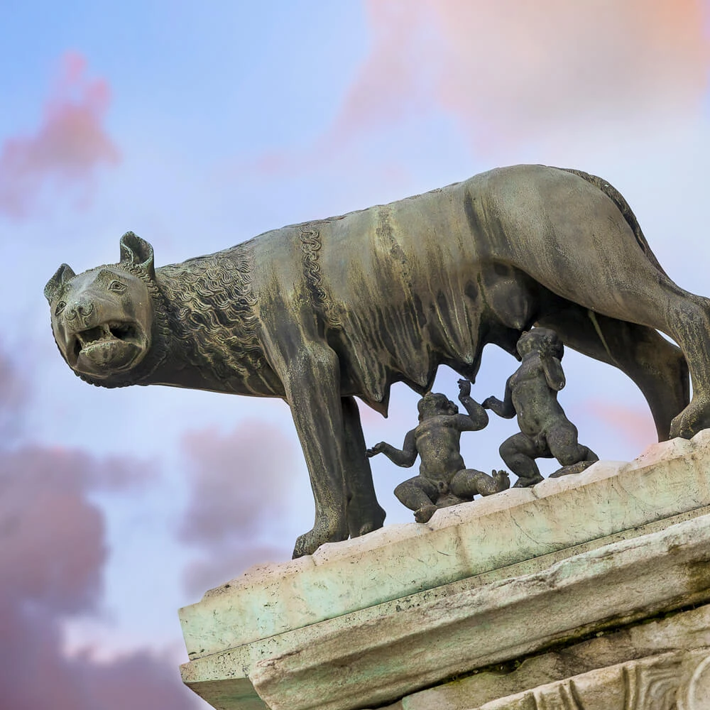 Romulus and Remus | Cards, the Universe and Everything Wiki | Fandom