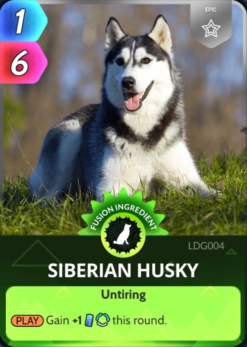 Siberian Husky | Cards, the Universe and Everything Wiki | Fandom