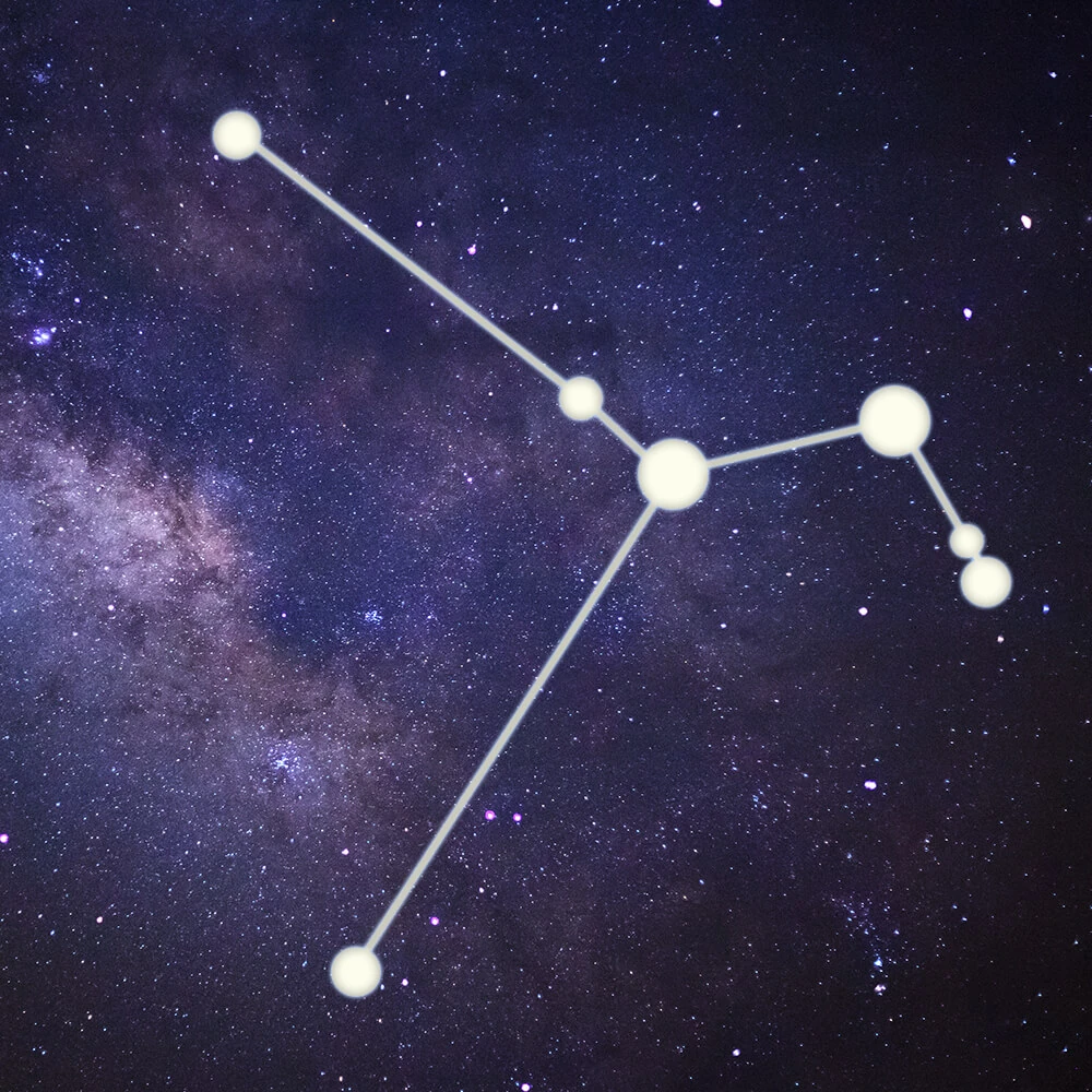 Columba | Cards, the Universe and Everything Wiki | Fandom