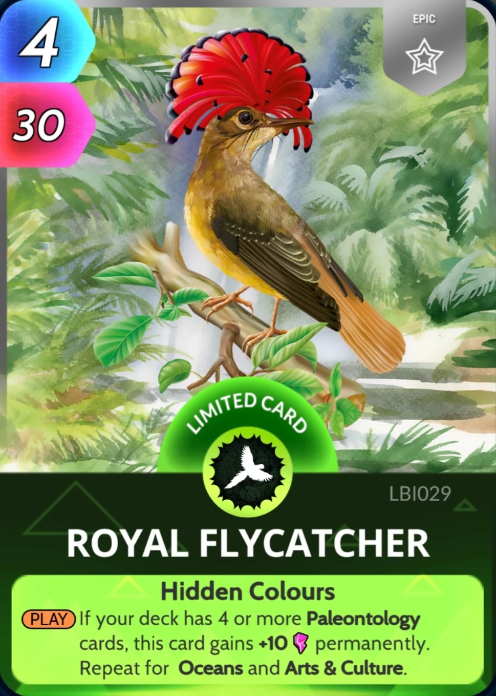Royal Flycatcher | Cards, the Universe and Everything Wiki | Fandom