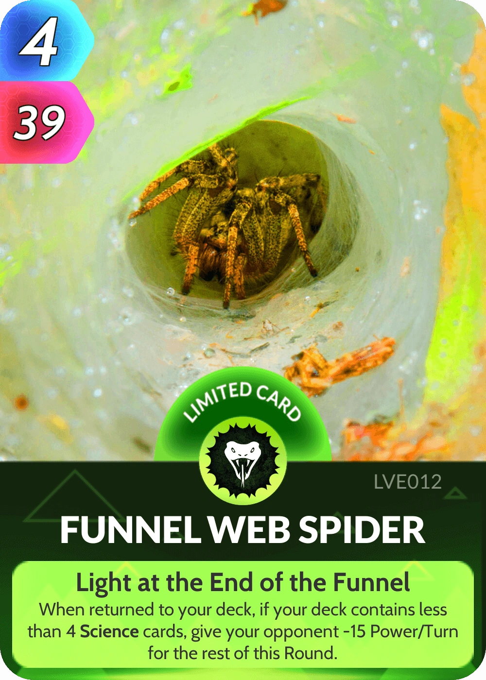 Funnel Web Spider | Cards, the Universe and Everything Wiki | Fandom