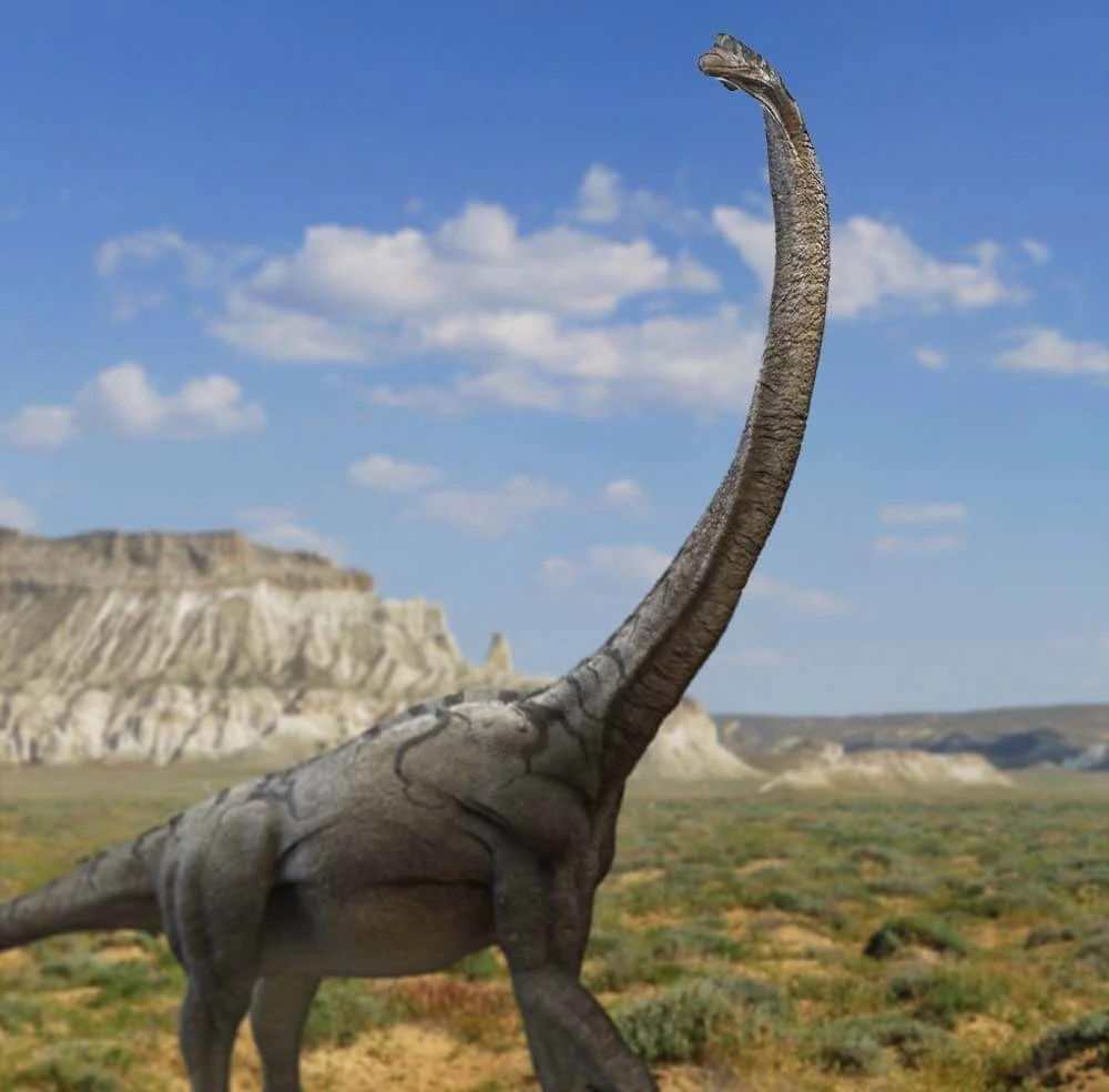 Sauroposeidon | Cards, the Universe and Everything Wiki | Fandom