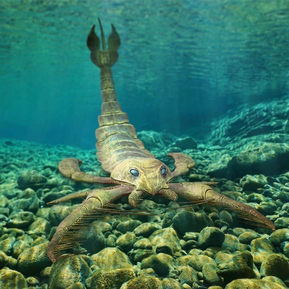 Jaekelopterus | Cards, the Universe and Everything Wiki | Fandom