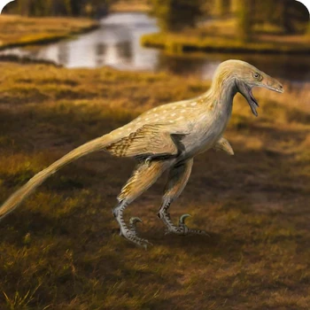 Bambiraptor | Cards, the Universe and Everything Wiki | Fandom