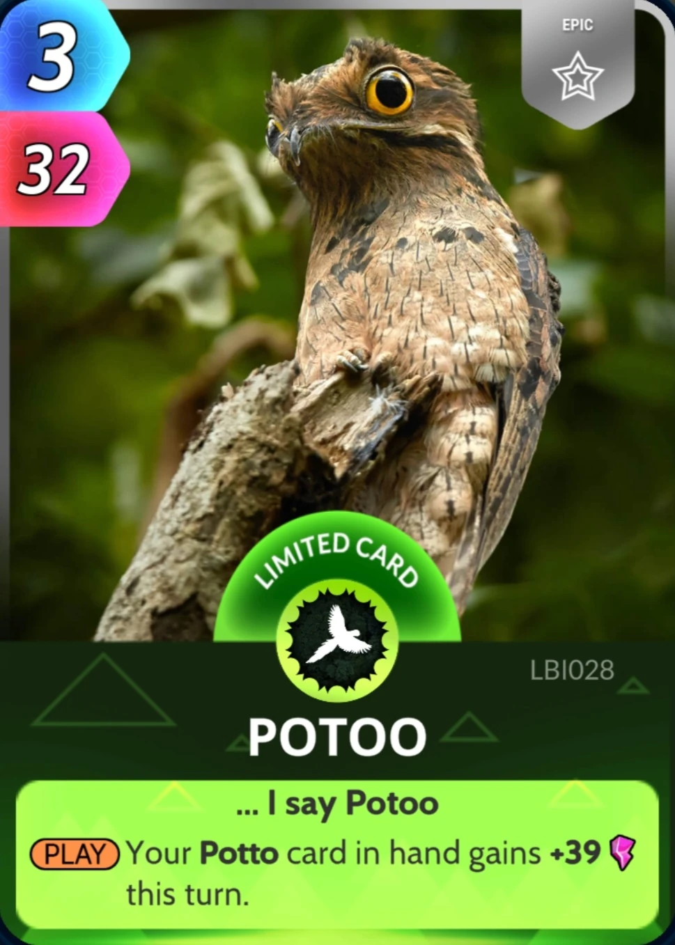Potoo | Cards, the Universe and Everything Wiki | Fandom