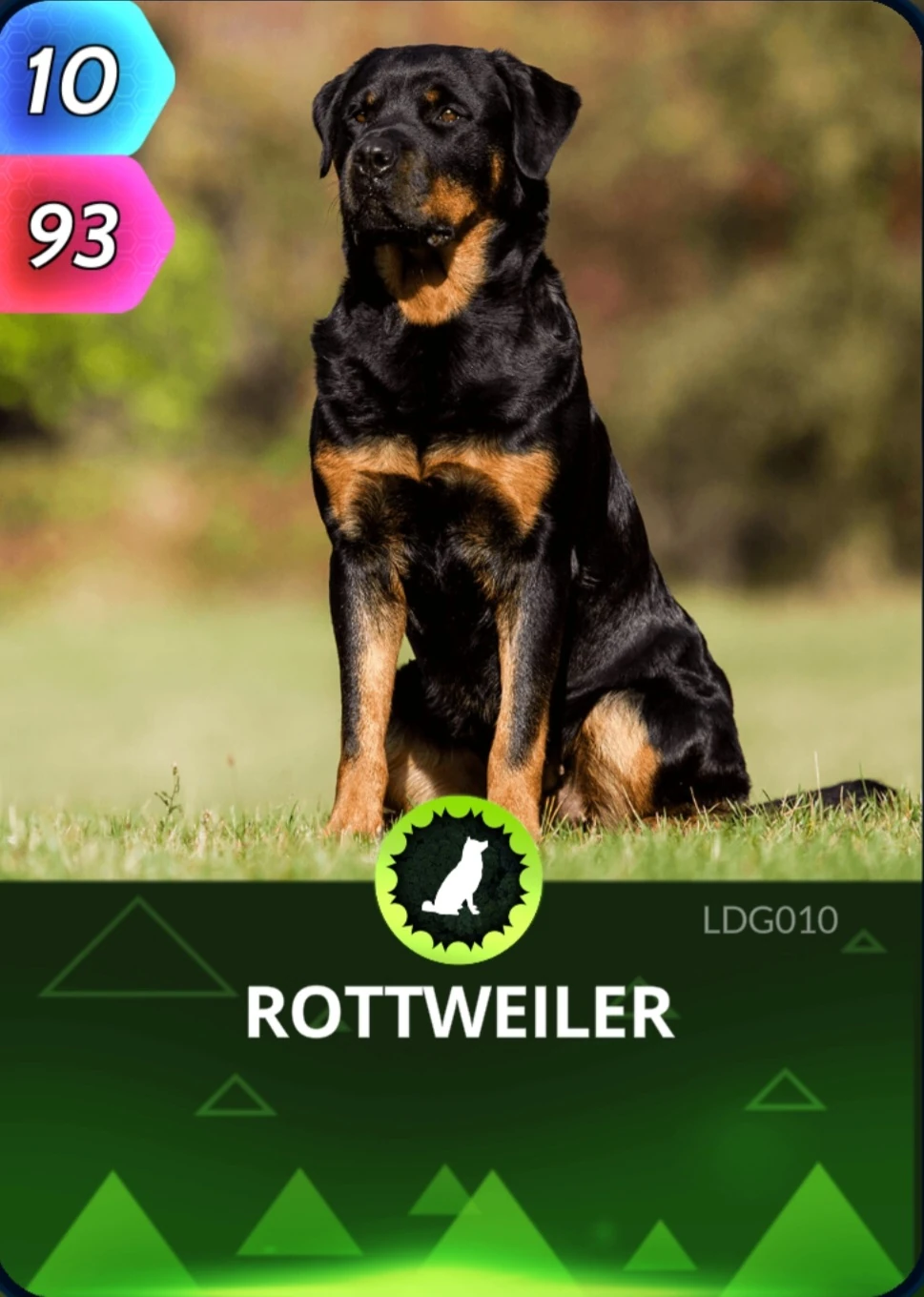 Rottweiler | Cards, the Universe and Everything Wiki | Fandom