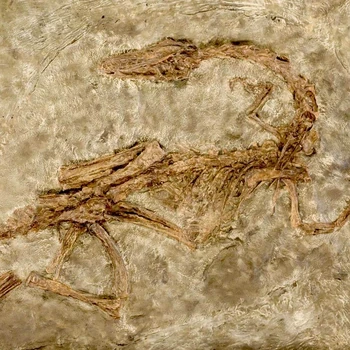 Triassic-Jurassic Extinction Event | Cards, the Universe and Everything Wiki | Fandom