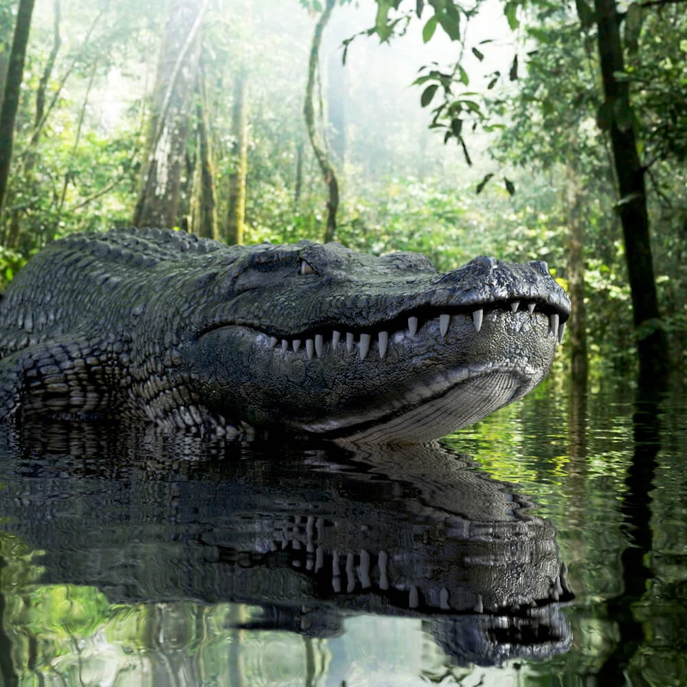 Confractosuchus | Cards, the Universe and Everything Wiki | Fandom