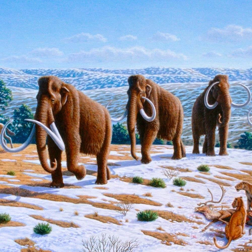 Quaternary Extinction Event | Cards, the Universe and Everything Wiki | Fandom