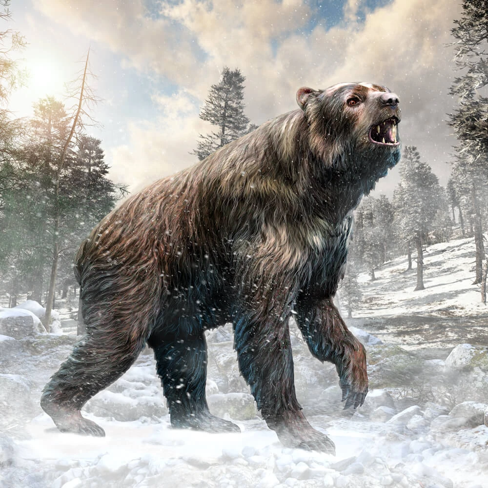 Short-faced Bear | Cards, the Universe and Everything Wiki | Fandom