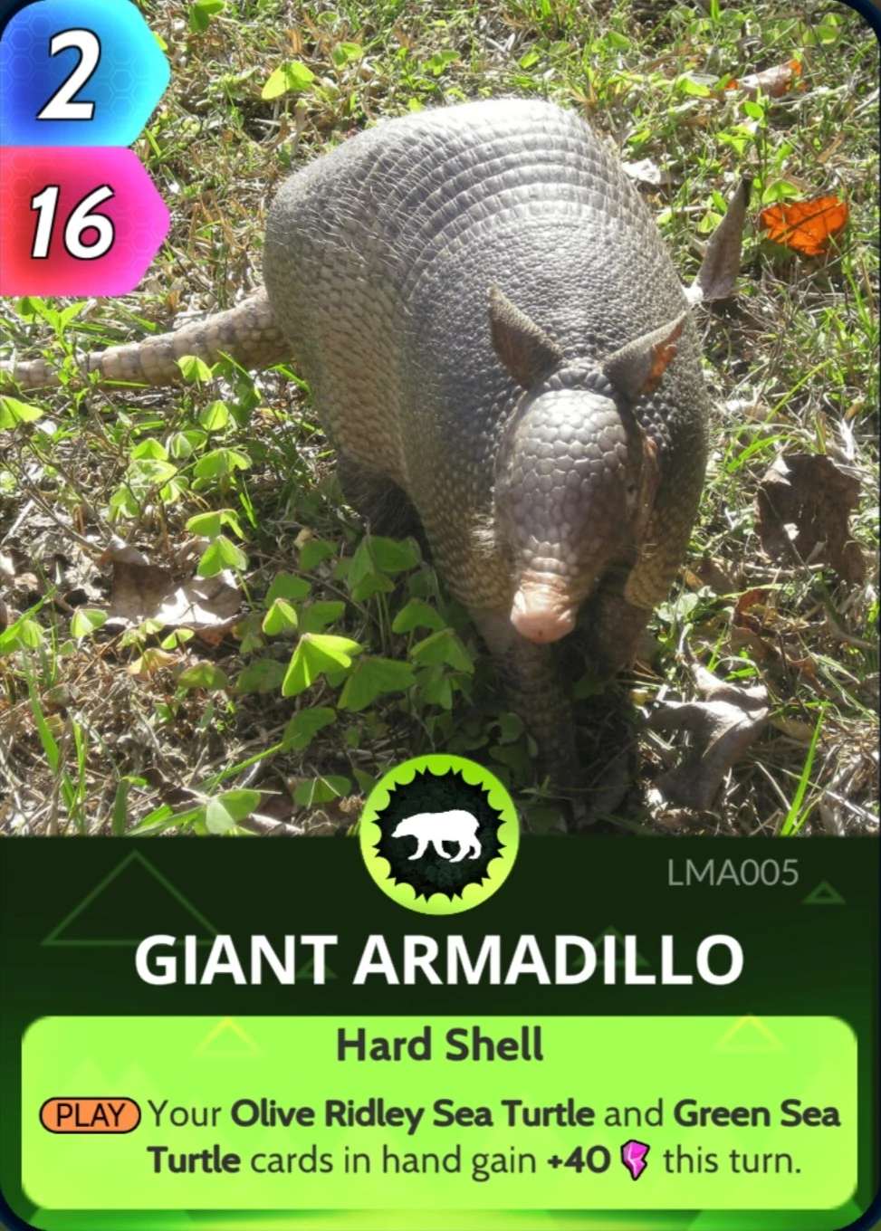 Giant Armadillo | Cards, the Universe and Everything Wiki | Fandom