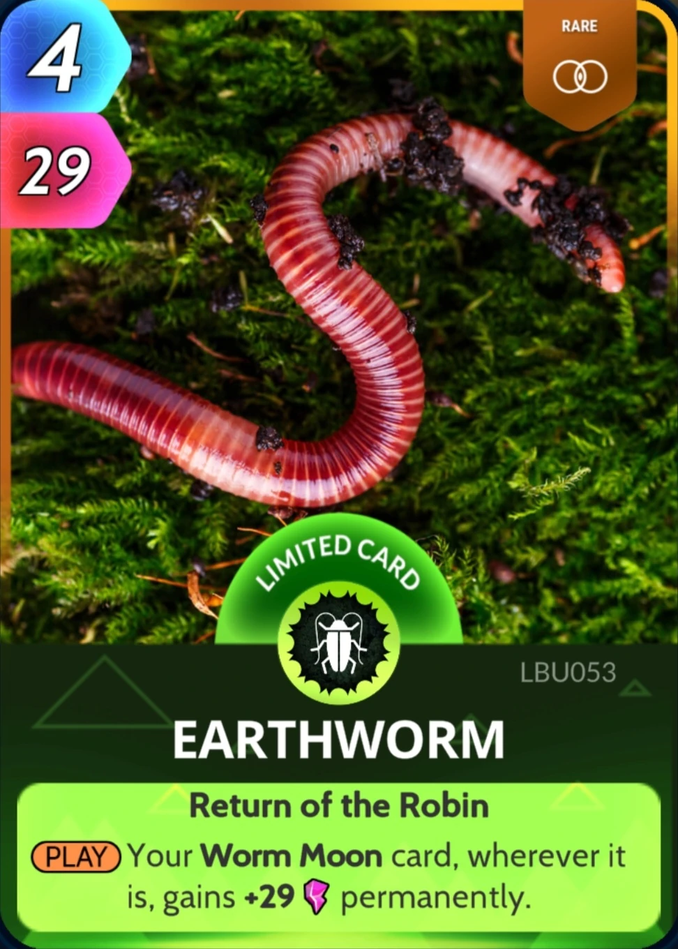 Earthworm | Cards, the Universe and Everything Wiki | Fandom