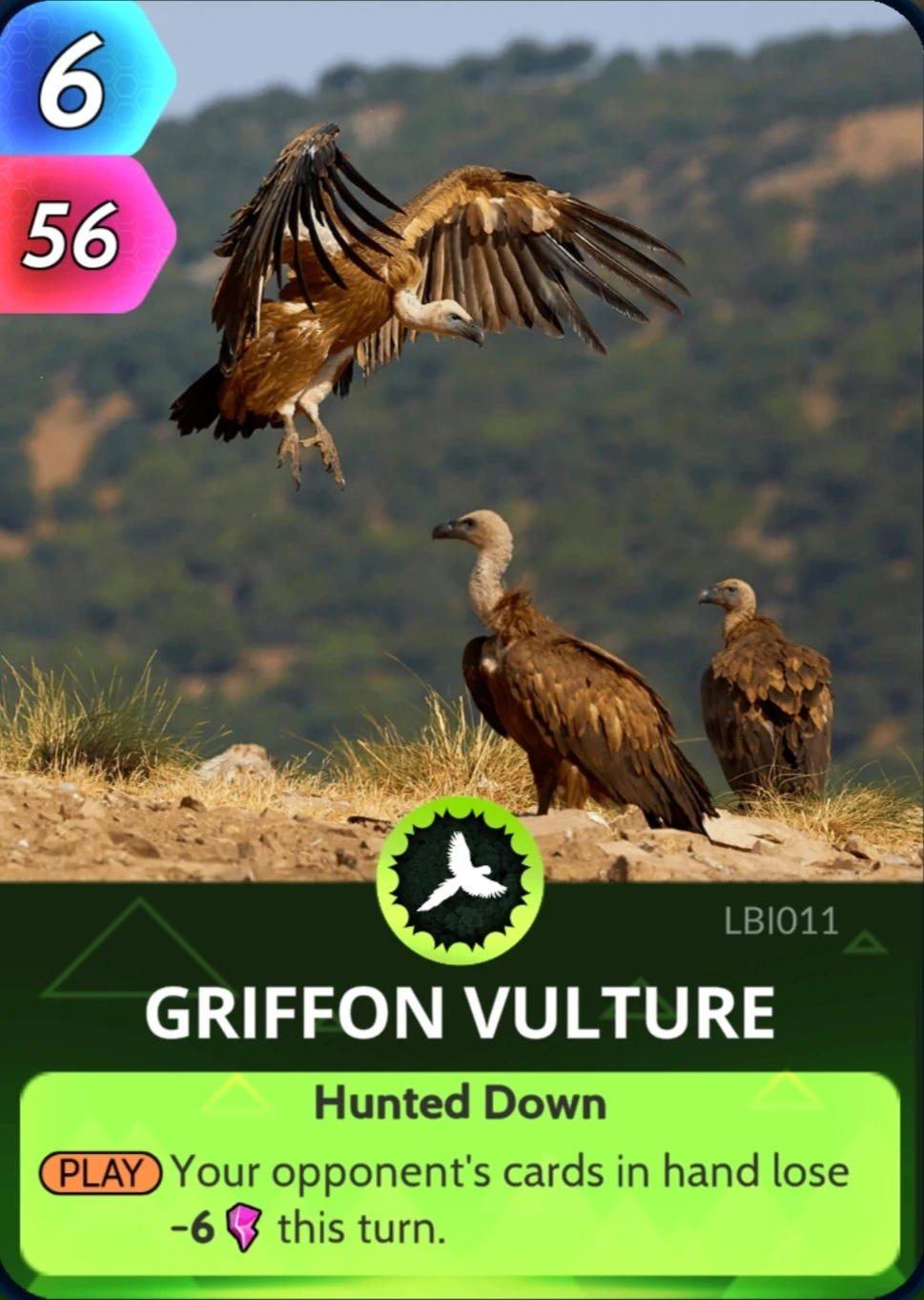 Griffon Vulture | Cards, the Universe and Everything Wiki | Fandom