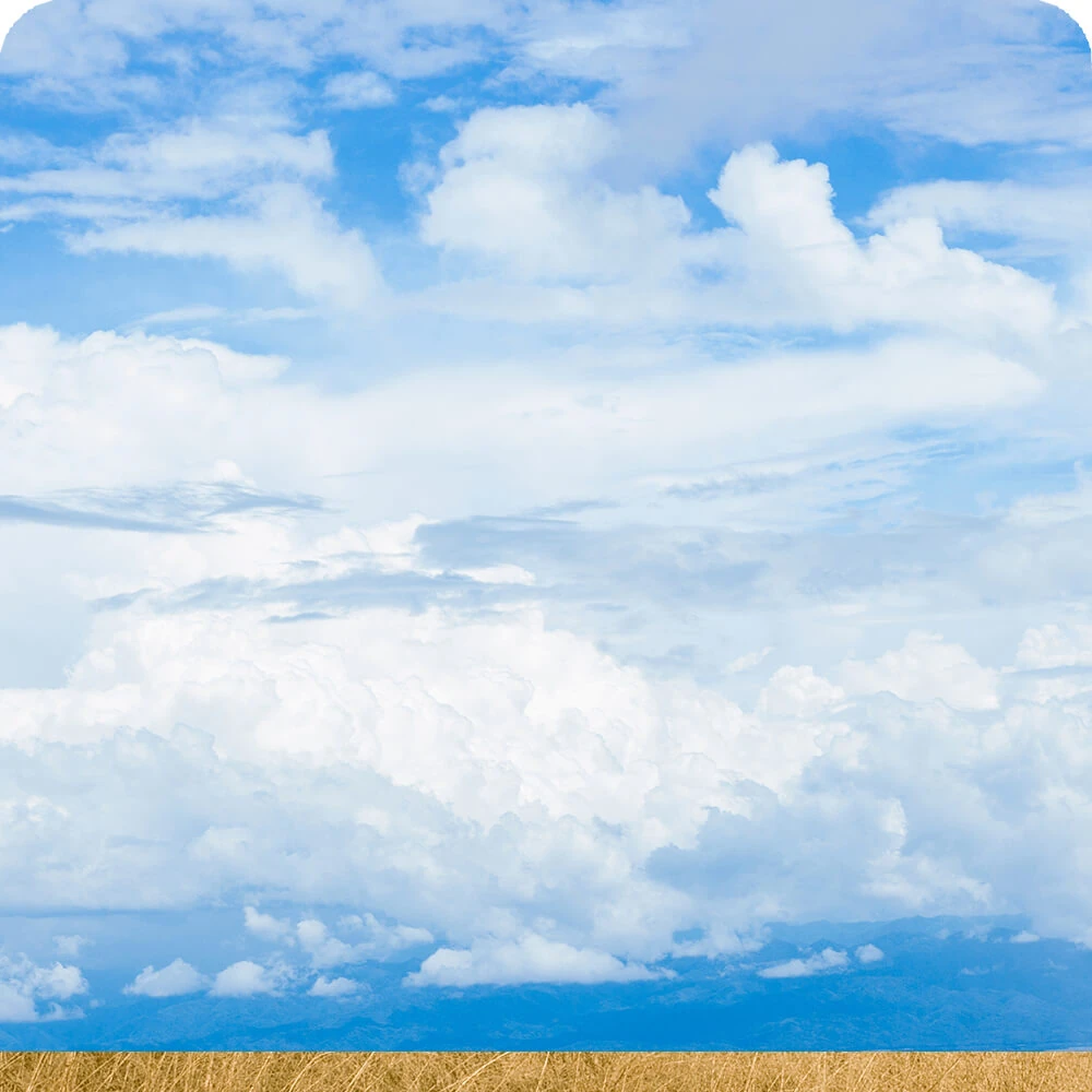 Clouds | Cards, the Universe and Everything Wiki | Fandom