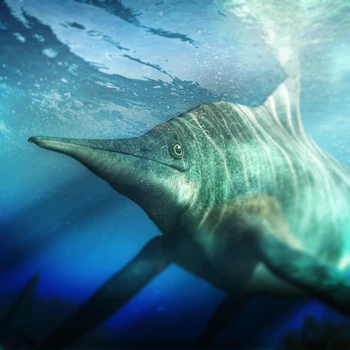 Shastasaurus | Cards, the Universe and Everything Wiki | Fandom