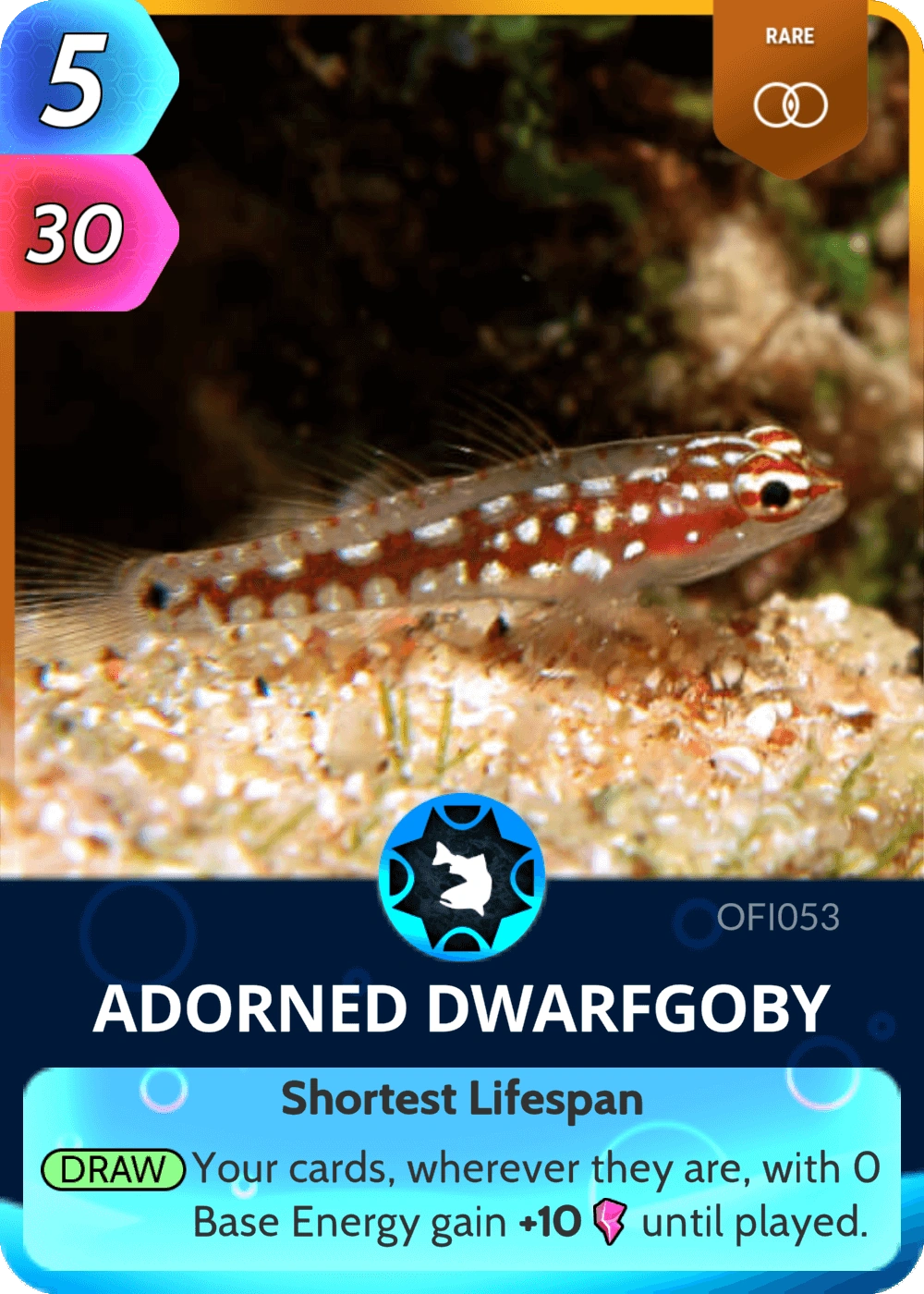 Adorned Dwarfgoby | Cards, the Universe and Everything Wiki | Fandom