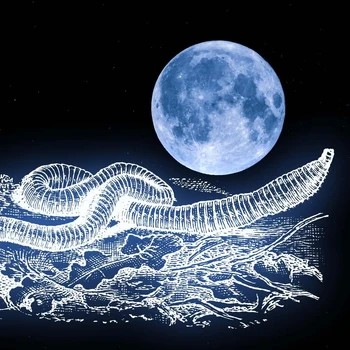 Worm Moon | Cards, the Universe and Everything Wiki | Fandom