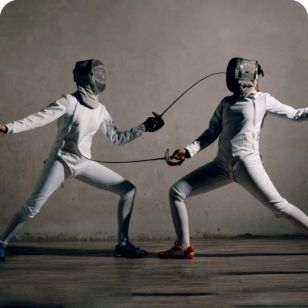 Fencing | Cards, the Universe and Everything Wiki | Fandom