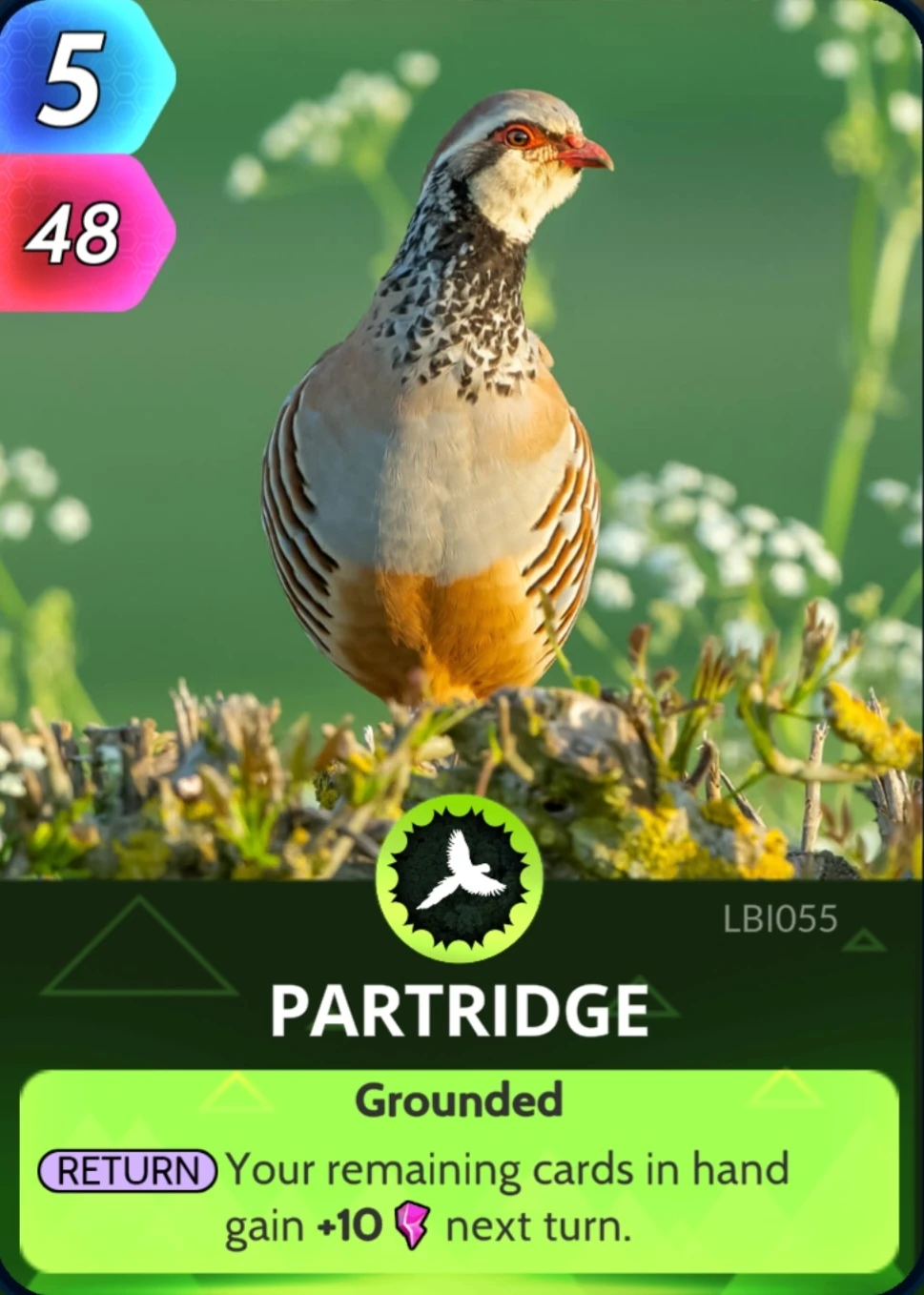 Partridge | Cards, the Universe and Everything Wiki | Fandom